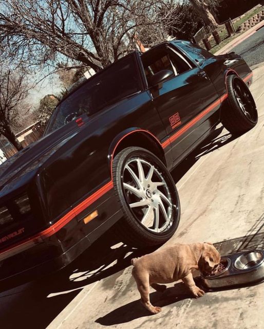 Monte Carlo SS on Big Rims - Big Rims - Custom Wheels